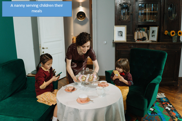 Local Nanny Services: How to Find,Charges,Advantages and More